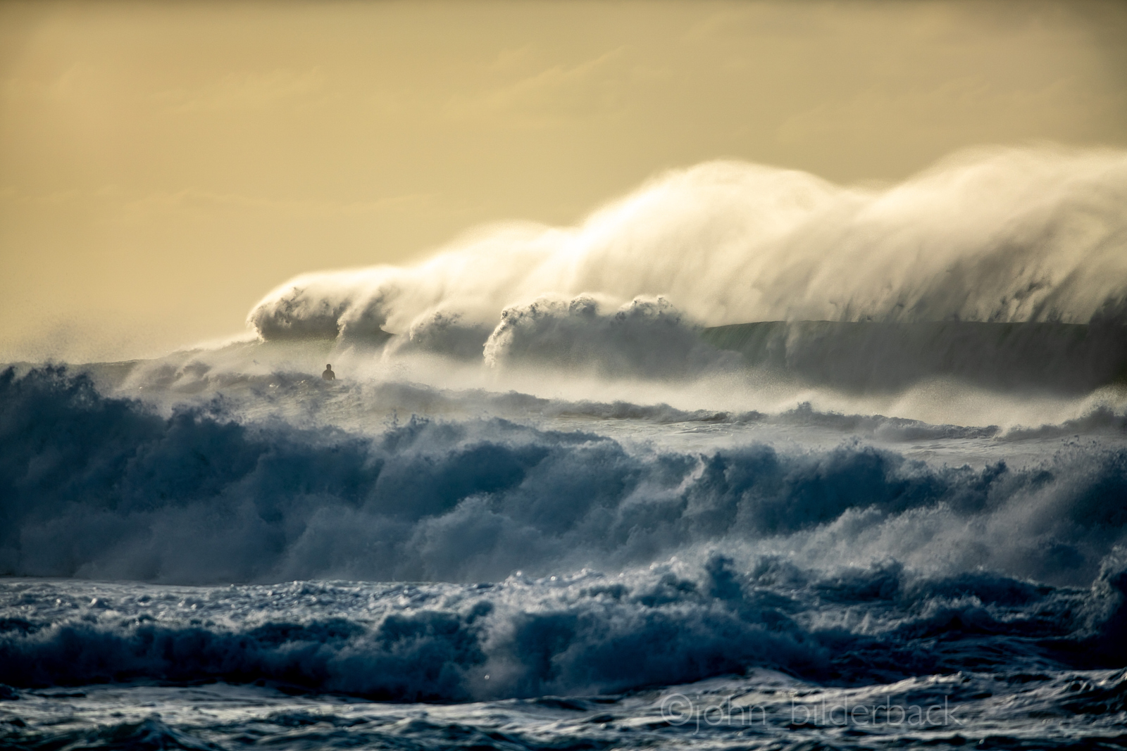 North Shore - The App